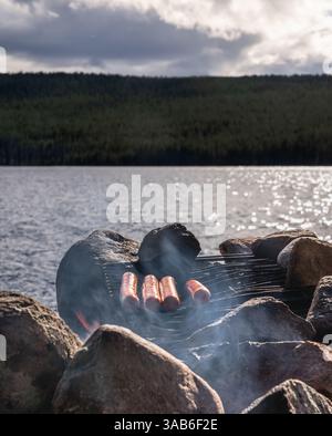Dog by Campfire in Wilderness. Outdoor Adventure. Wild Camping Stock ...
