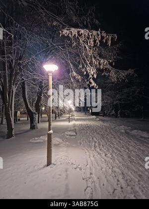 Lantern in the snowy park at night Stock Photo - Alamy