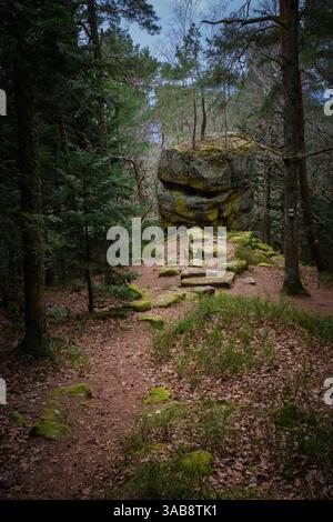 vertical view of Geological megalithic rocks formation in the woods ...