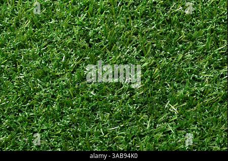 Synthetic plastic green grass Stock Photo - Alamy