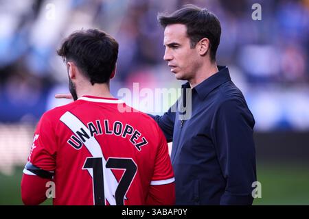 Rayo Vallecano head coach Inigo Perez during the La Liga EA Sports ...