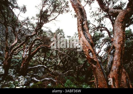 Los Nevados Village in Merida, Venezuela Stock Photo - Alamy