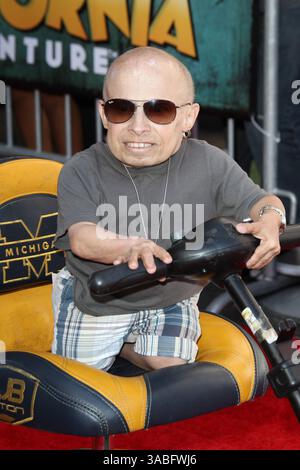 ANAHEIM, CA - JUNE 22, 2013: Barry Pepper at the world premiere of his ...
