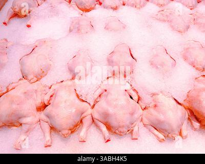 Fresh frozen whole chickens covered in ice in the market meat section ...