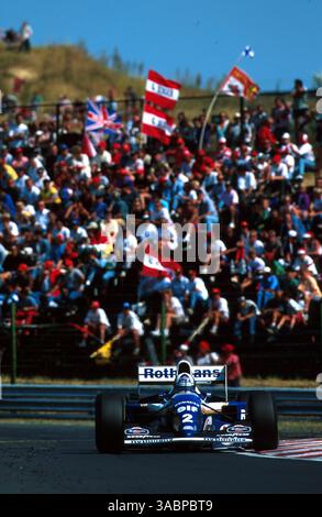 David Coulthard (GBR) Williams FW16 replaced Ayrton Senna at Williams ...