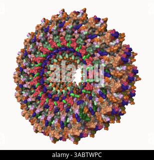 Tobacco Mosaic Virus Protein Structure. STEM Visualization. Visualized ...