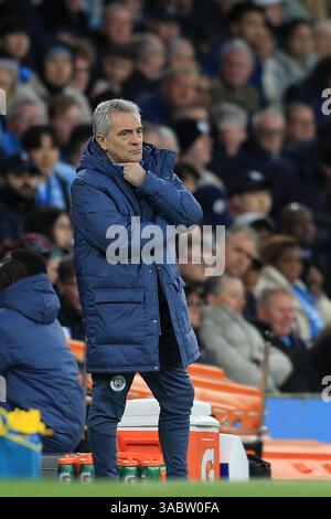 Manchester City assistant manager Juanma Lillo on the touchline during ...