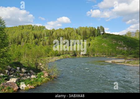 The Chernaya Uba River, in a mountainous area Stock Photo - Alamy