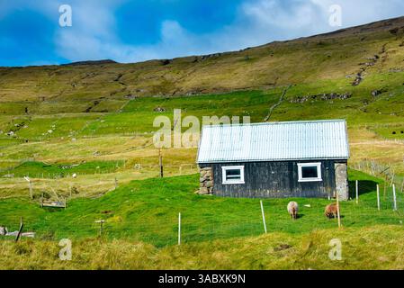 Small Barn on a Sheep Pasture - Faroe Islands Stock Photo - Alamy