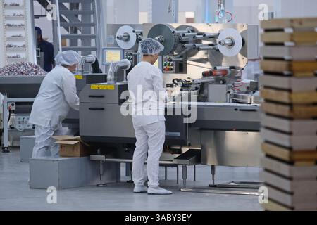 Rakhat confectionery factory. Packaging of waffle sweets Stock Photo ...