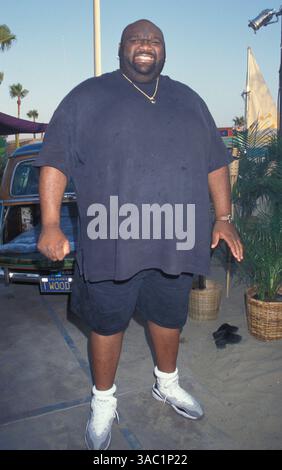 Jun 11, 1997; Santa Monica, CA, USA; Actress ROSA BLASI (wearing a ...