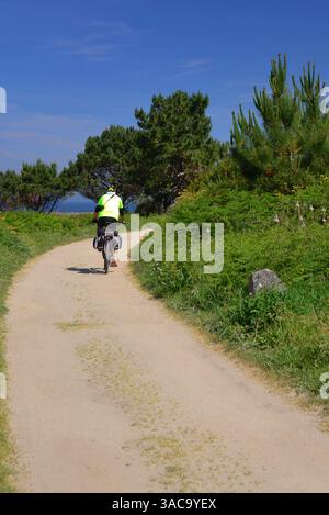 Lone pilgrim on the Camino de Santiago Stock Photo - Alamy