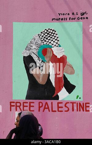 Angel for Gaza, Palestine support murals in the Bo-Kaap, Cape Town ...