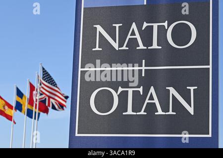 Flags, NATO member states, background, texture, motivation, poster ...