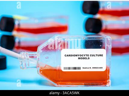 Cardiomyocyte culture models. Culturing heart cells to study cardiac ...