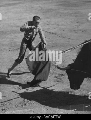 The Moment of Truth: the bull, exhausted though still dangerous, is ...