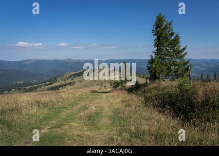 Vosges (Vogesen) Mountains: sunset in Vosges (Vogesen) Mountains from ...