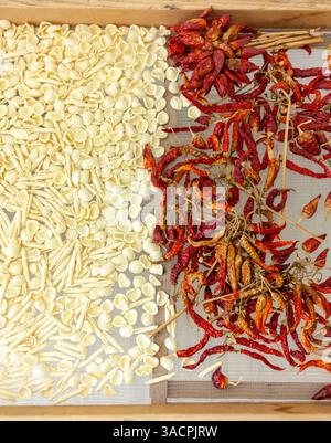 Red chili peppers drying on a sunlit concrete surface. Trip from Guilin ...