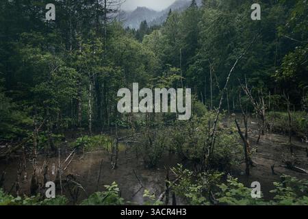 Allgäu, Alps, Bavaria, Christlessee, Germany, Europe, Oberstdorf ...
