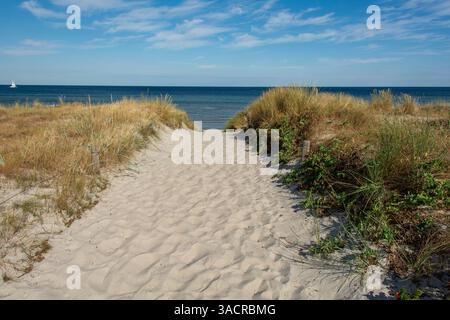 Path between the sand dunes overlooking the sea with blue sky. With ...