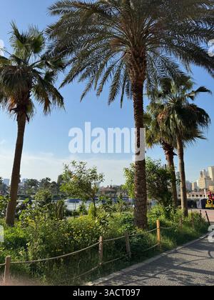 Boulevard Park - Kuwait Stock Photo - Alamy