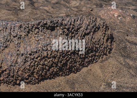 Detail of effects oh physical weathering on a rock at sandy beach near ...