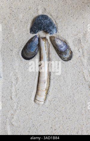 heart shape flotsam Stock Photo - Alamy