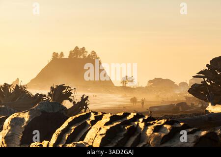 James Island sunset, La Push, Quileute Indian Reservation, Washington ...