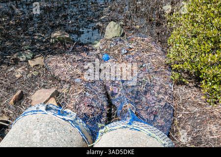 stormwater net, Blue litter trap net attached to drainage pipe ...