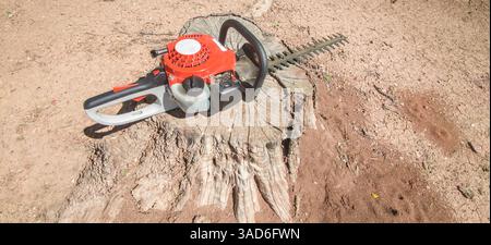 Fuel-powered hedge trimmer. Placed over stump tree Stock Photo - Alamy