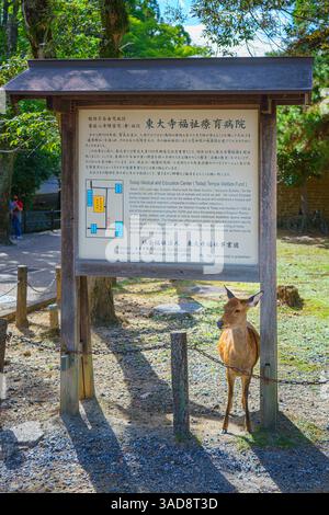 Nara, Japan - Sep 26 2024, A close-up view of Todaiji Temple guide map ...