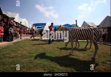 Oct 08, 2009 - Gaza City, Gaza Strip - Palestinian children look at ...