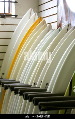 August 15, 2008, Encinitas, CA, USA View of the front of Encinitas Surf ...