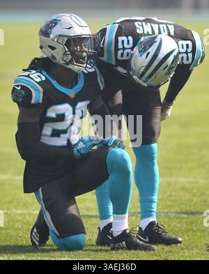Carolina Panthers cornerback Mike Jackson (2) in action during an NFL ...