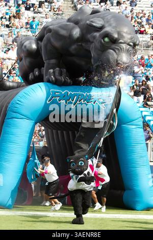 New Orleans Saints mascot Sir Saint leads cheerleaders during a second ...