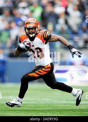 Seattle Seahawks running back George Holani (36) scores a touchdown ...