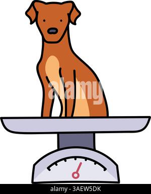 vet animal weight scale hand drawn color vector illustration Stock ...