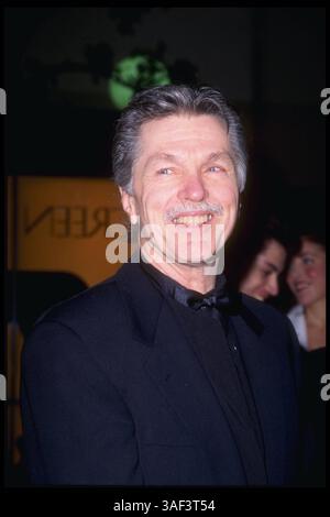 February 1, 1995; Hollywood, CA, USA; ALISON SWEENEY attends the Bo ...