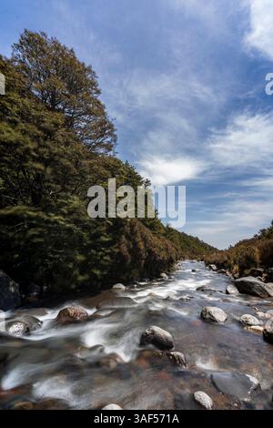 Waterfalls and Rugged Rivers of Tongariro National Park Stock Photo - Alamy
