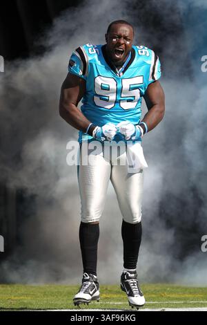 Carolina Panthers defensive end Charles Johnson watches his teammates ...
