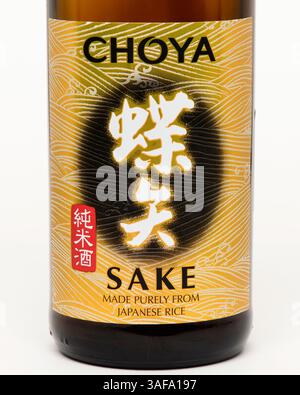 Choya sake Junmai-shu Japanese rice alcoholic drink back label with ...