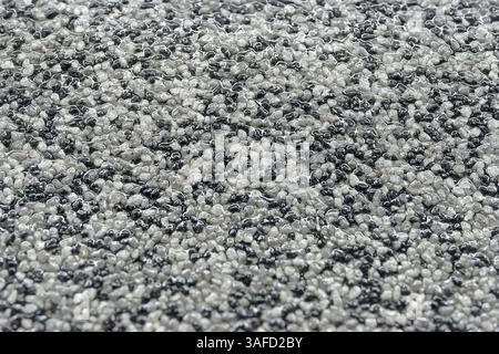 A closeup shot of wet pebble stones on a sandy beach on a sunny summer ...