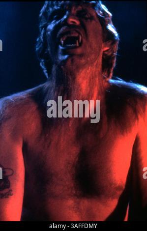 THE HOWLING, Christopher Stone, 1981, (c) Avco Embassy/courtesy Everett ...