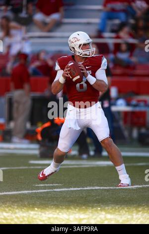 Sep 8, 2012: Razorback QB Tyler Wilson #8 stretches to put the ball ...