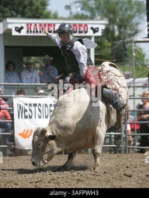 Professional Bull Rider rides bull Ridin' Solo during PBR Monster ...