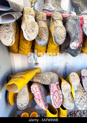 Worker boots, safety boots, laborer boots, miner boots, yellow ...