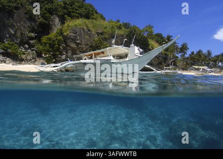 June 14, 2005 - Over under image of coral reef, Acropora spp., and ...