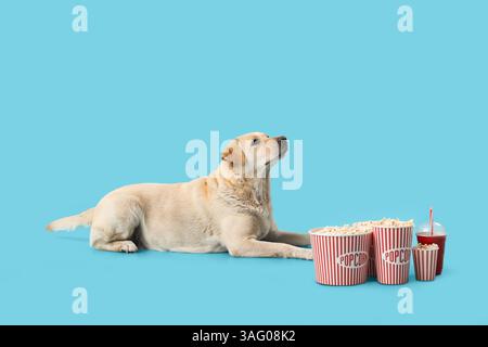 Cute Labrador dog with popcorn buckets and cup of soda lying on blue ...