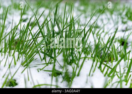 air, weather, earth, spring, winter, natural, animal, outdoor, field ...