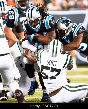 The Carolina Panthers DeAngelo Williams rushes against the Dallas ...